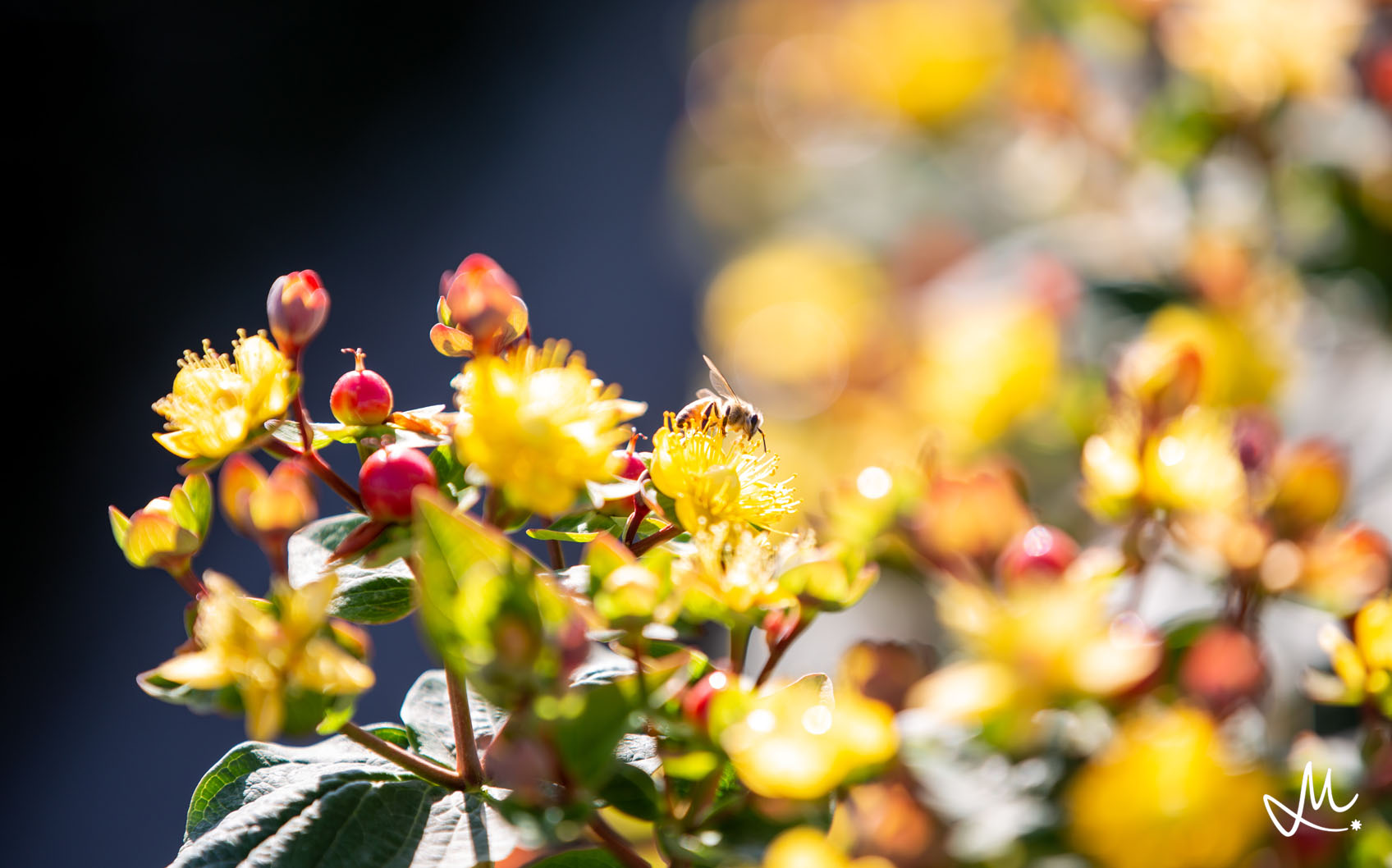 farm photography | Marginpar